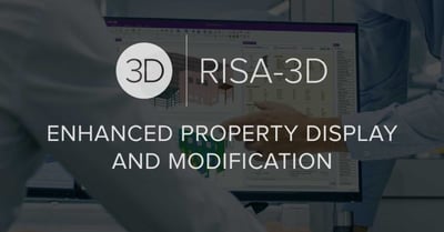 RISA | Enhanced Model View Options, Filtering and Member Query